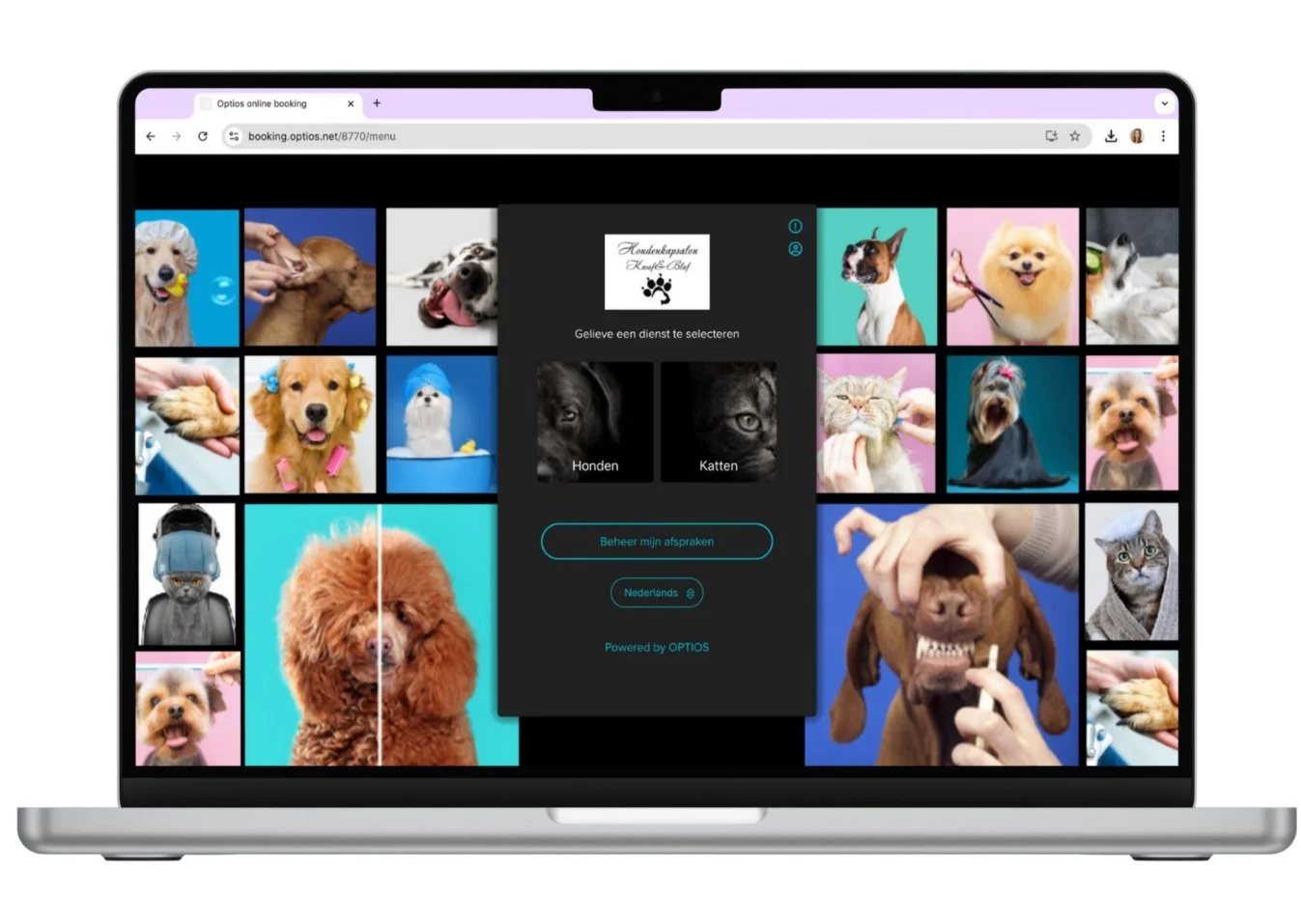 Hondentrimsalon software| De favoriete software van hondenverzorgers ...