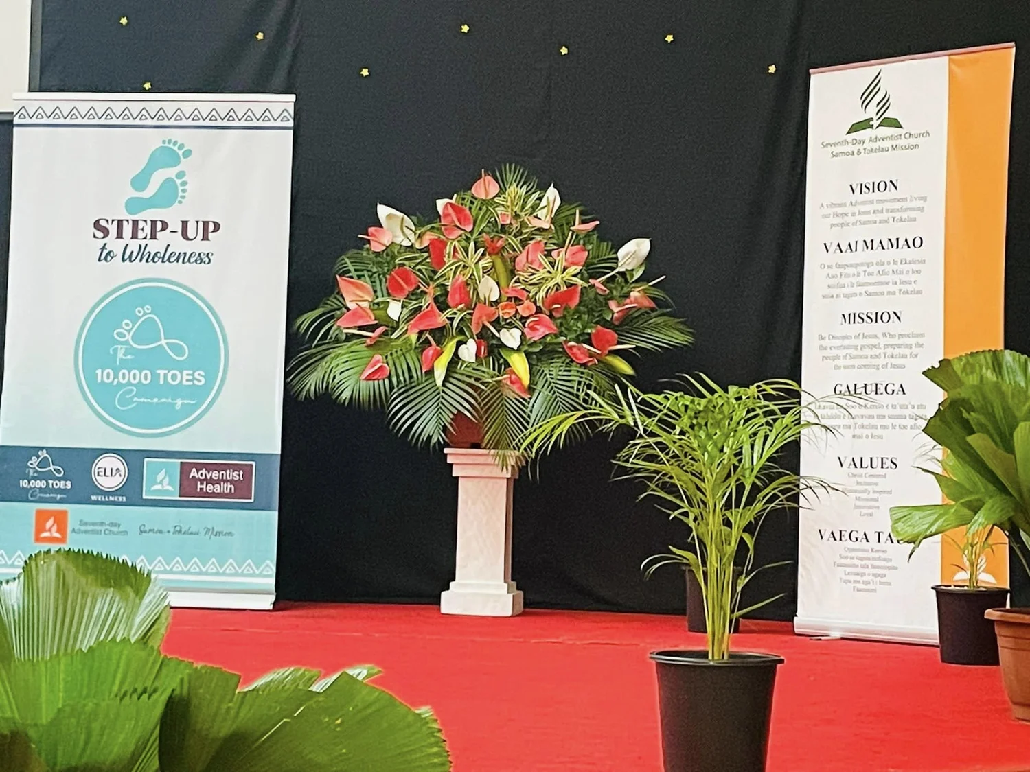 10,000 Toes "Step Up to Wholeness"Wellness Summit 2023 in Apia, Samoa ...