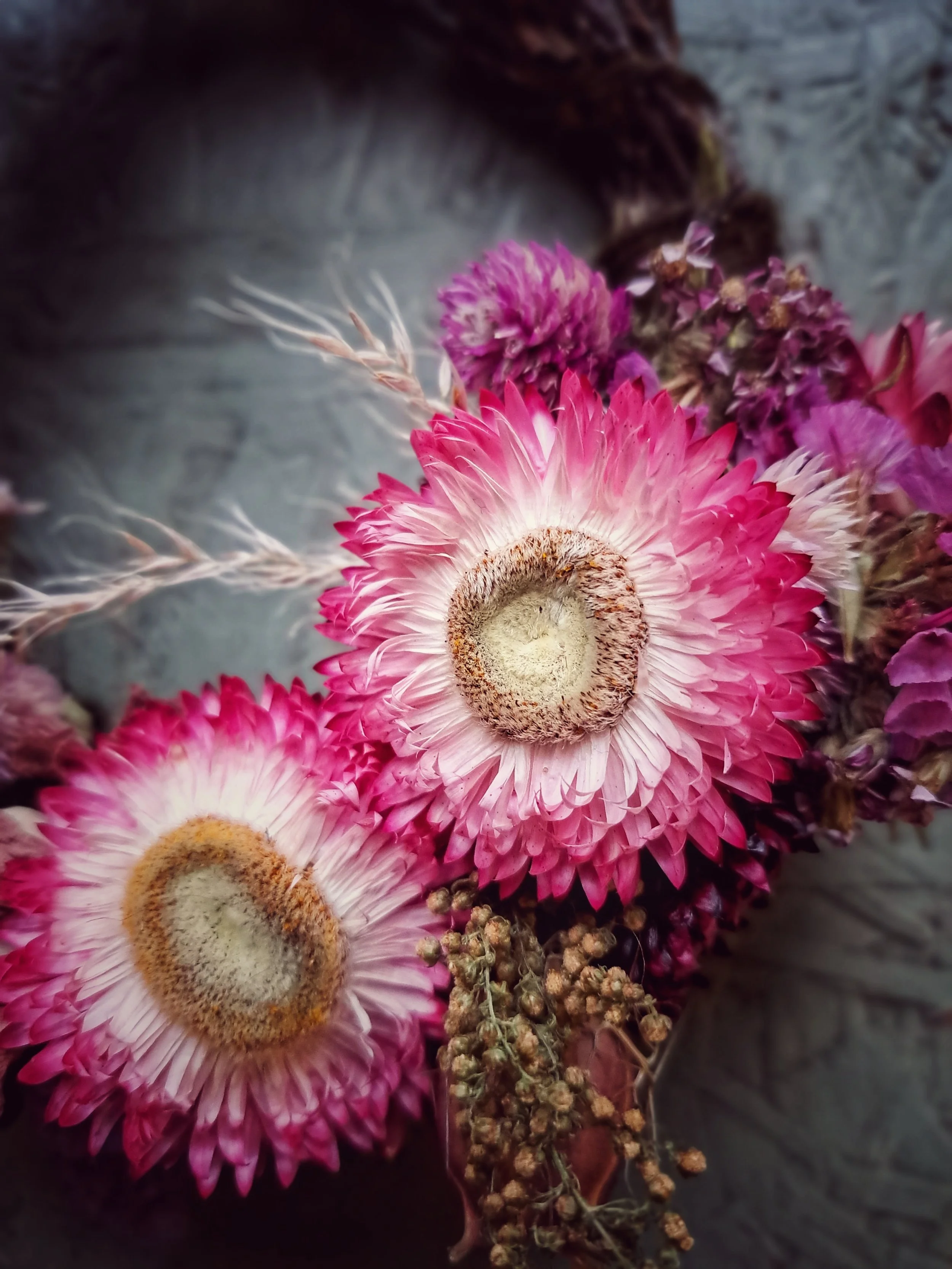 Shop — Shallow Ford Flowers - Flower Farm, Plymouth. Growing seasonal ...