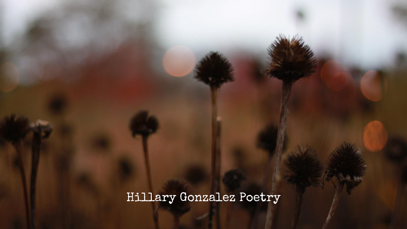 Hillary Gonzalez Poetry - Seasons Available For Preorder