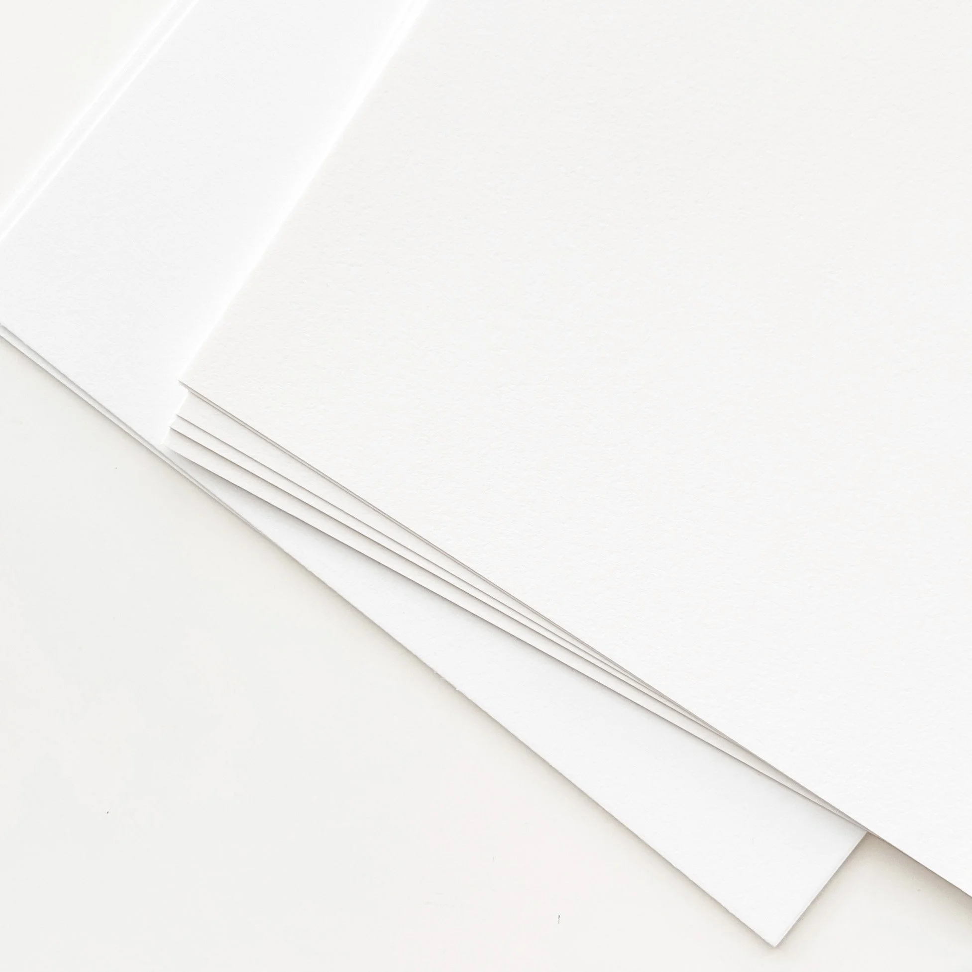 The Collection Guide — August + White