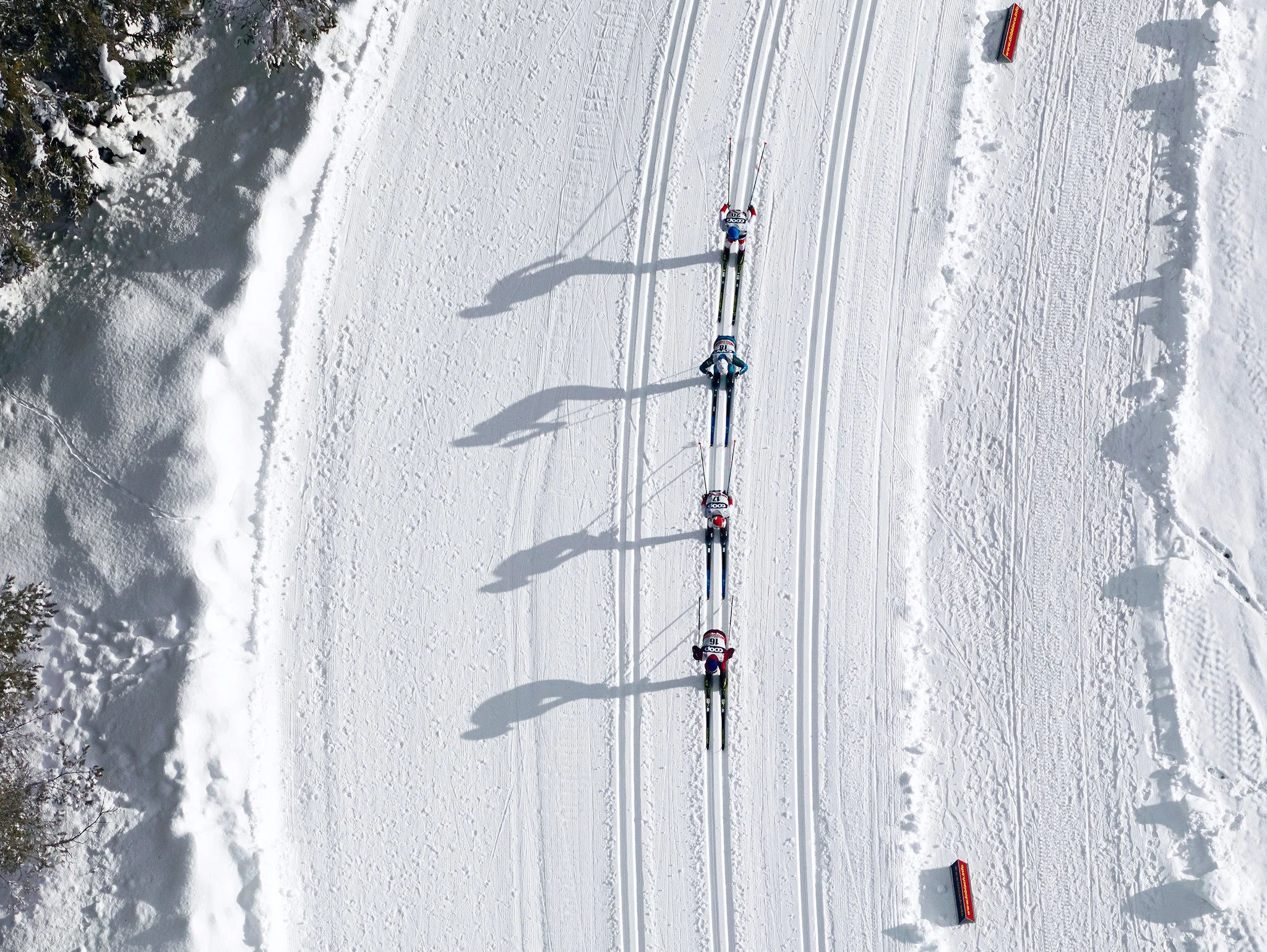 Alaska Nordic Racing