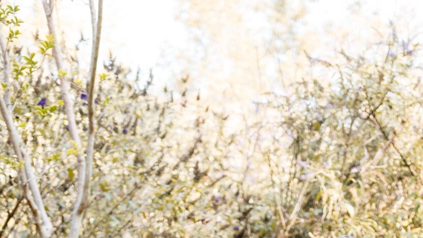 Kelsey Delane | Yoga Therapist & Full Spectrum Doula