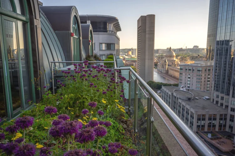 Commercial | Boston Green Roofs — Recover Green Roofs