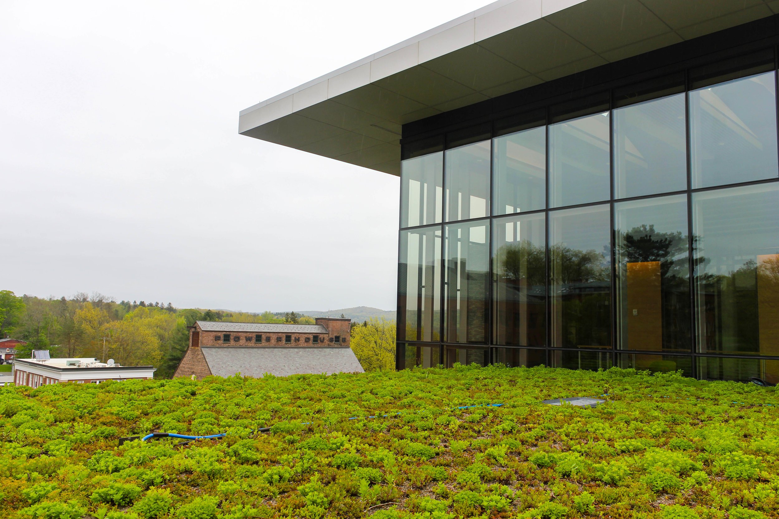 Amherst College Green Roof — Recover Green Roofs