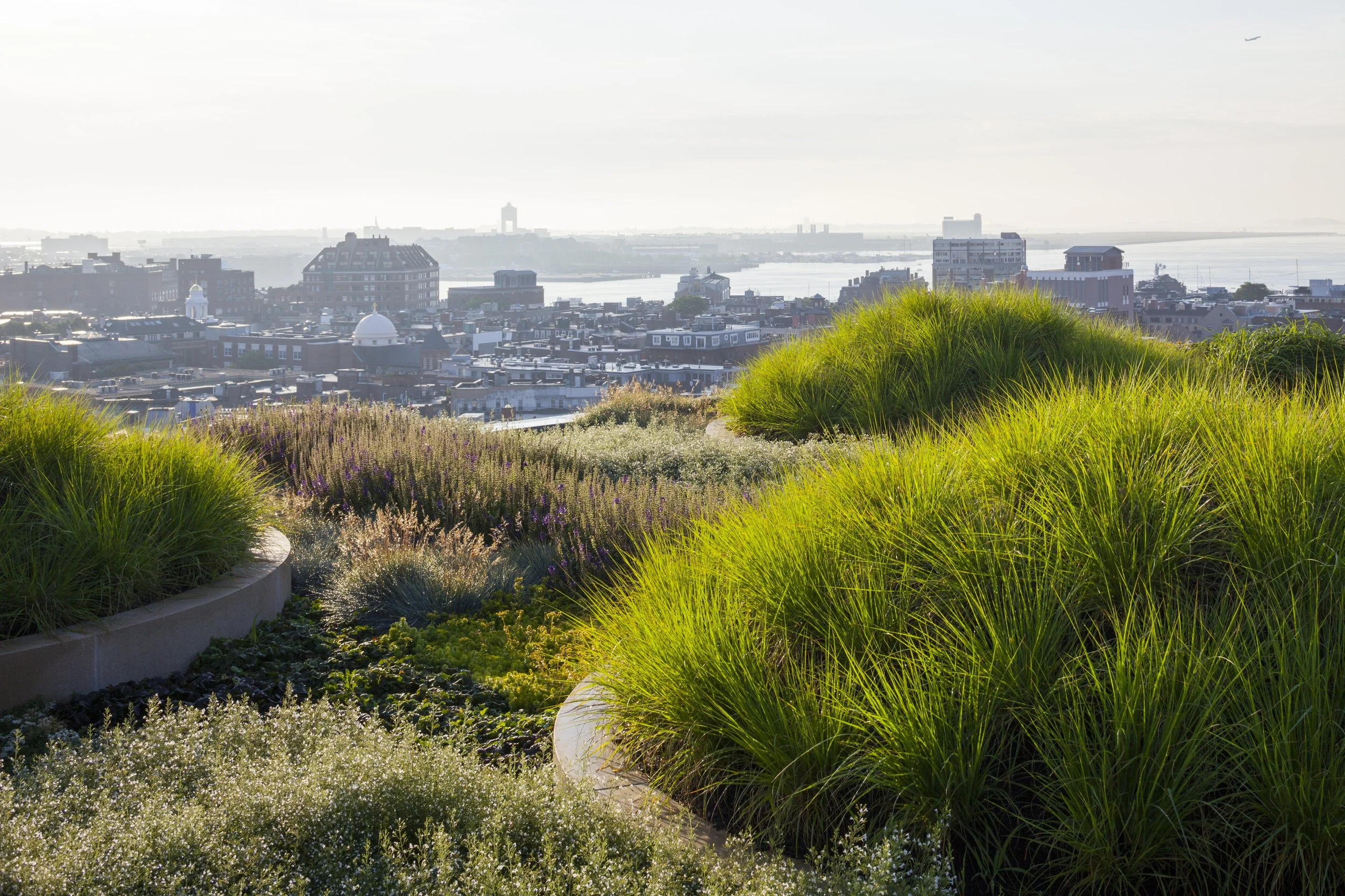 Commercial | Boston Green Roofs — Recover Green Roofs