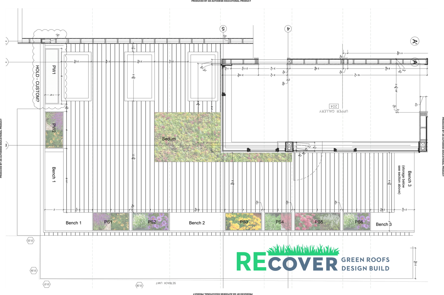 Rooftop Yoga Deck — Recover Green Roofs