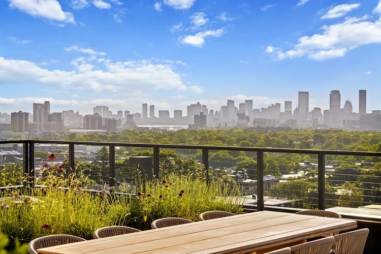 Commercial | Boston Green Roofs — Recover Green Roofs