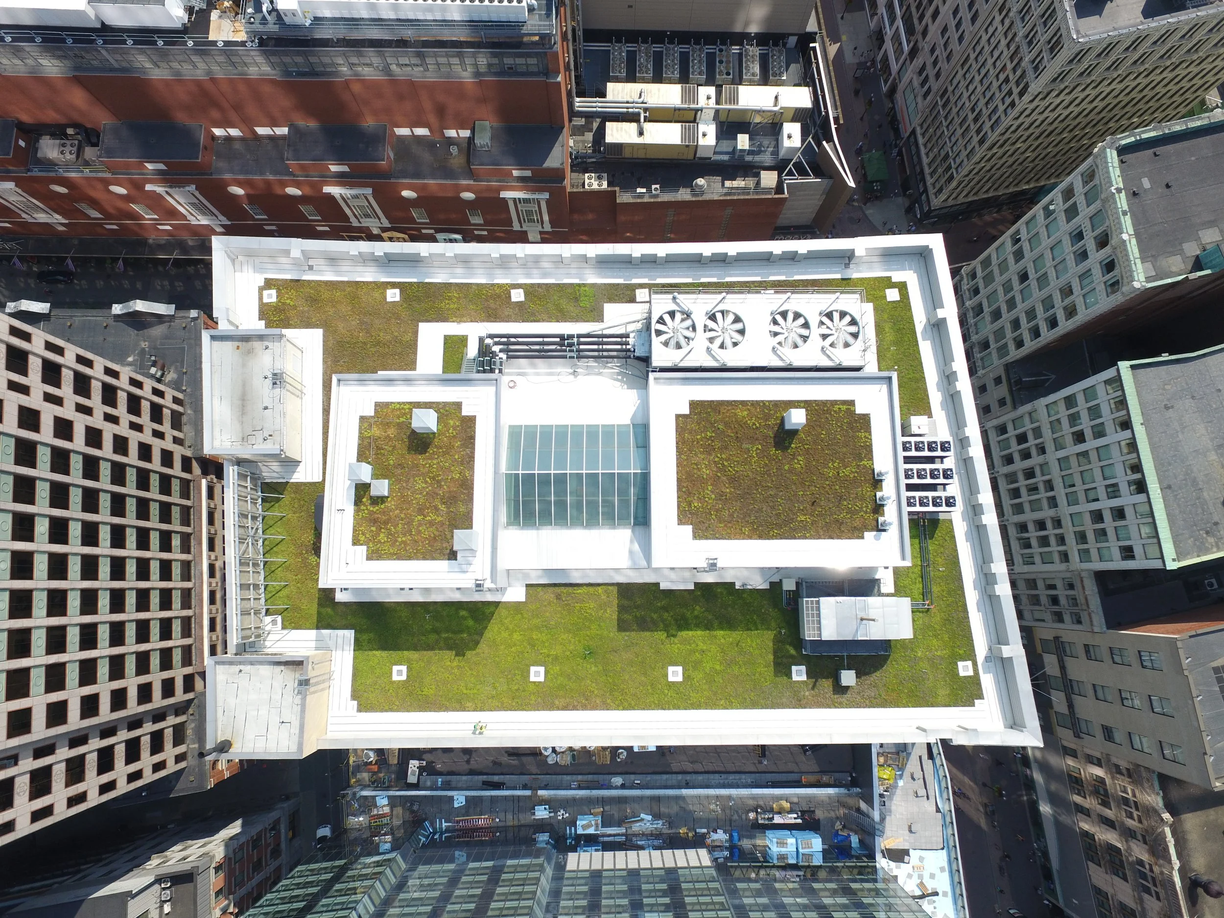 Commercial | Boston Green Roofs — Recover Green Roofs