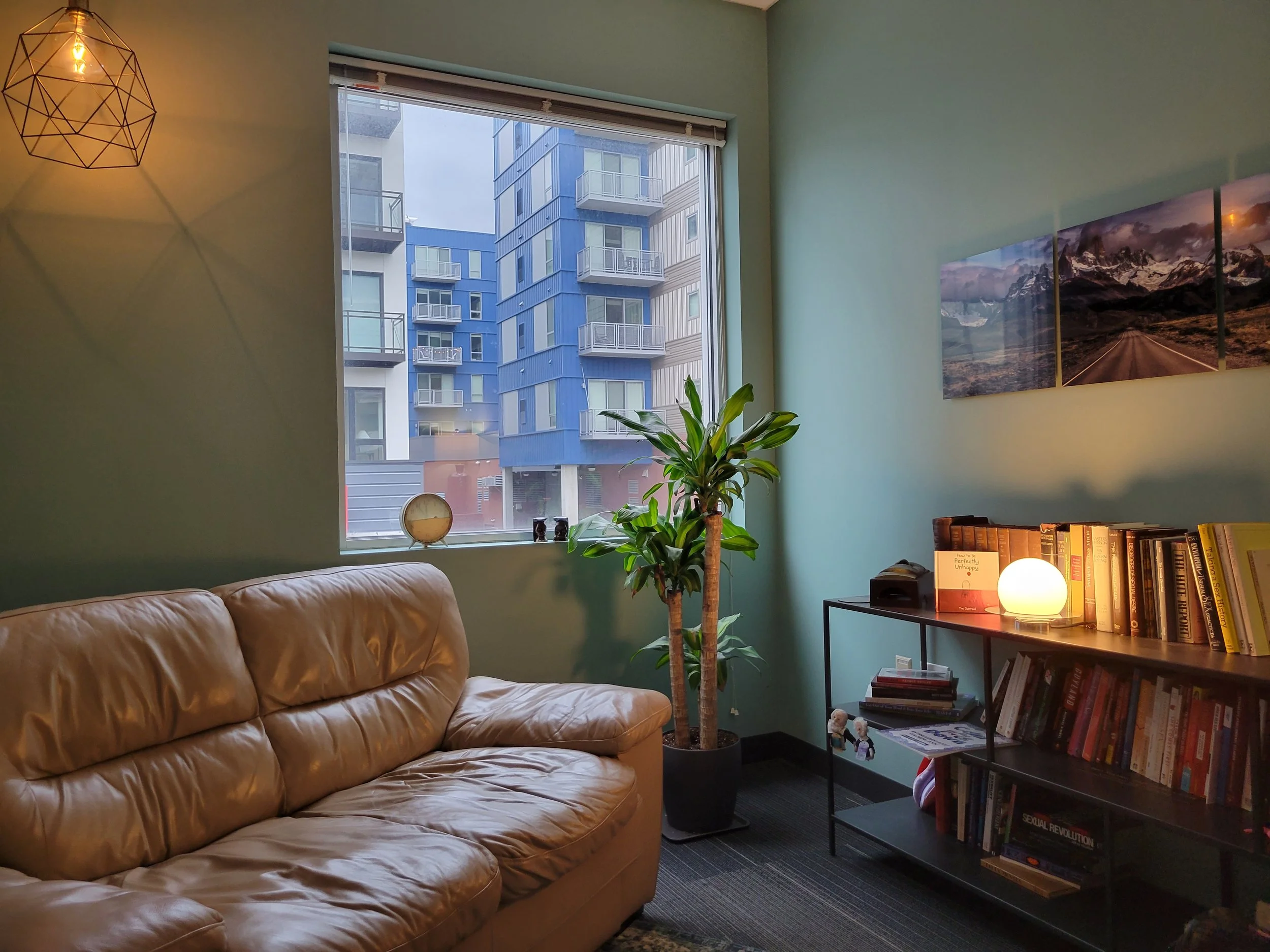 Convex Therapy, Consultation, and Training