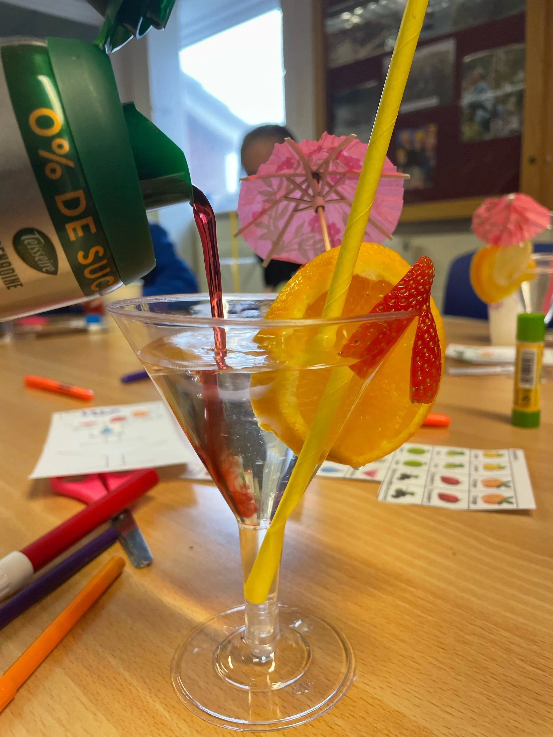 Downloads for Girlguiding Units, Programme Help Resources — Oystercatchers