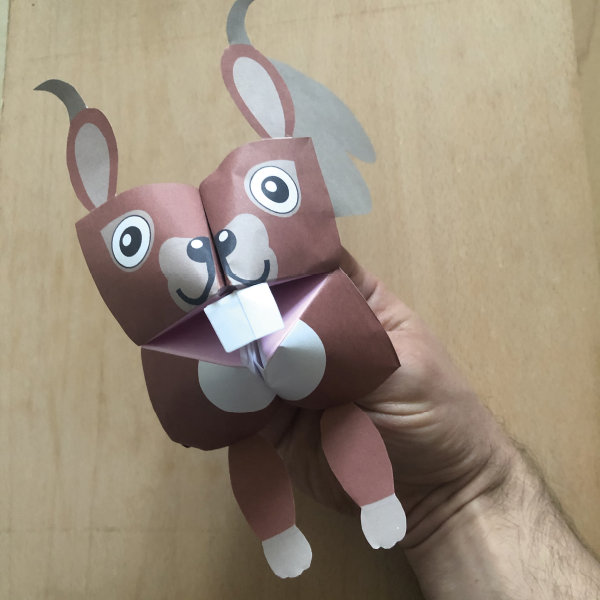 Animal Fortune Teller Paper Puppets — Oystercatchers