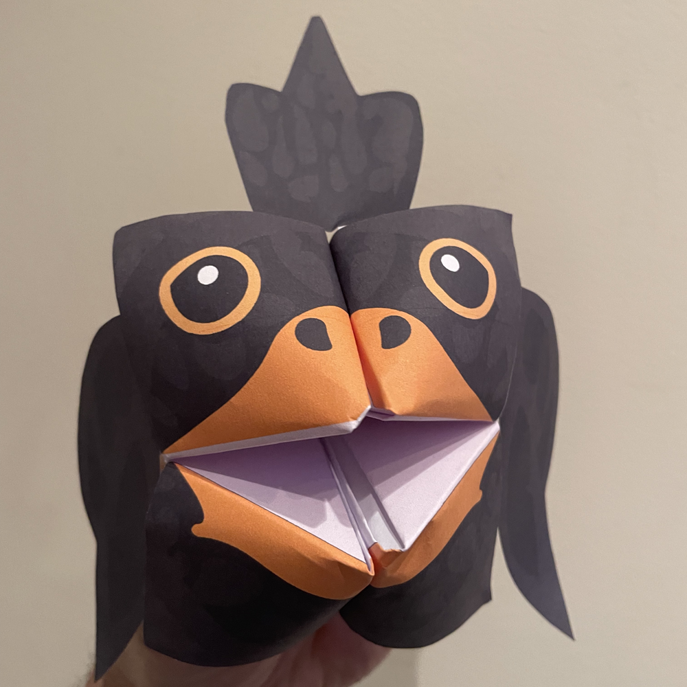 Animal Fortune Teller Paper Puppets — Oystercatchers