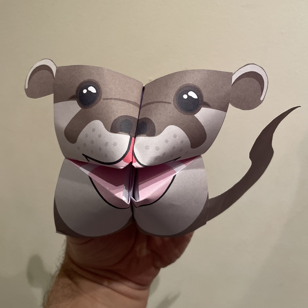 Animal Fortune Teller Paper Puppets — Oystercatchers