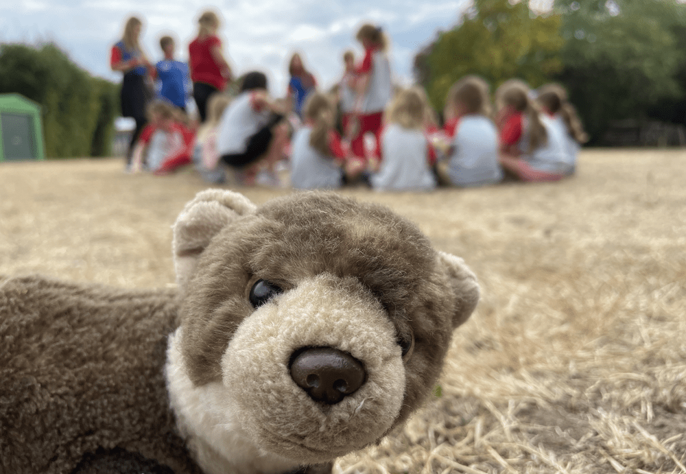 Downloads for Girlguiding Units, Programme Help Resources — Oystercatchers