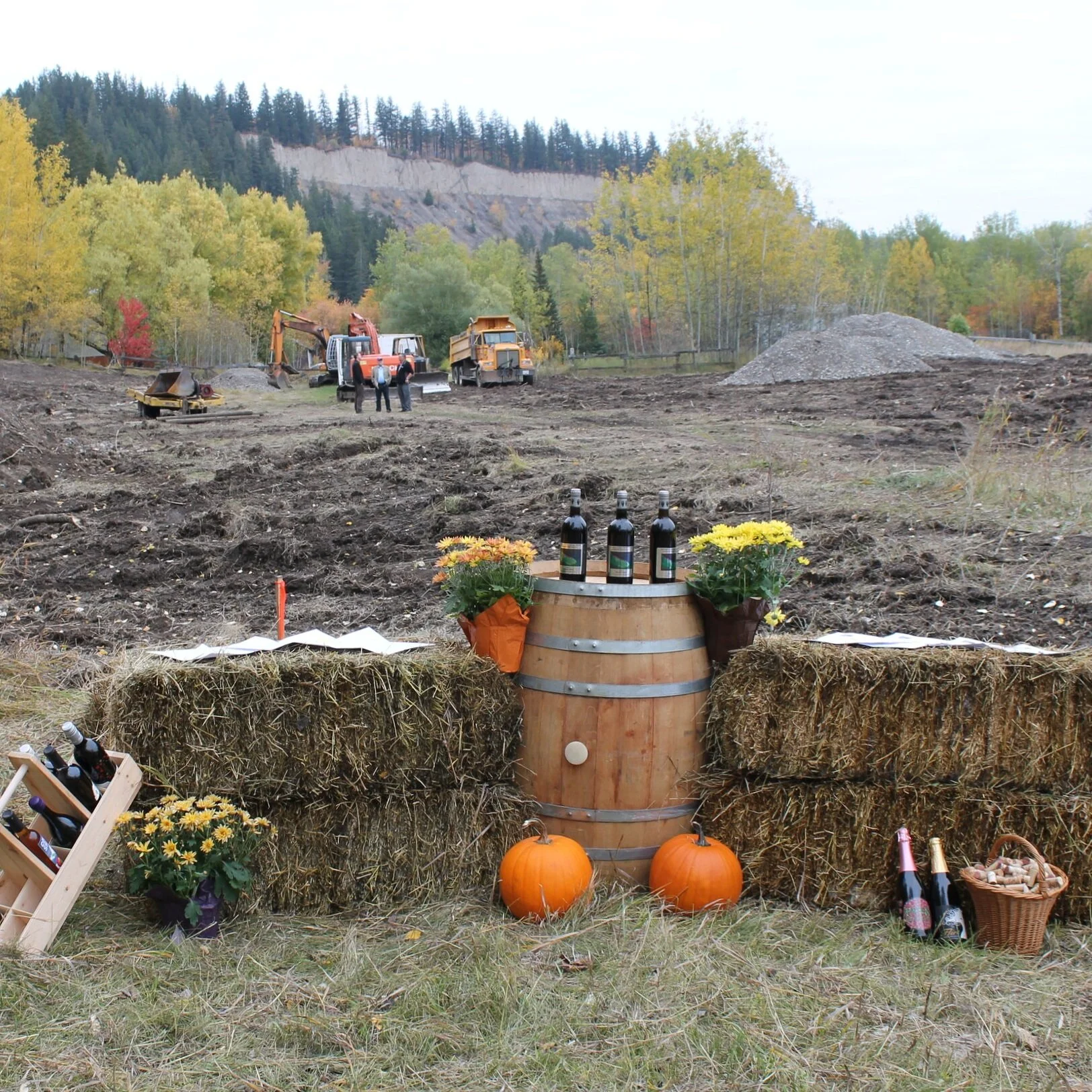 Our Story — Northern Lights Winery