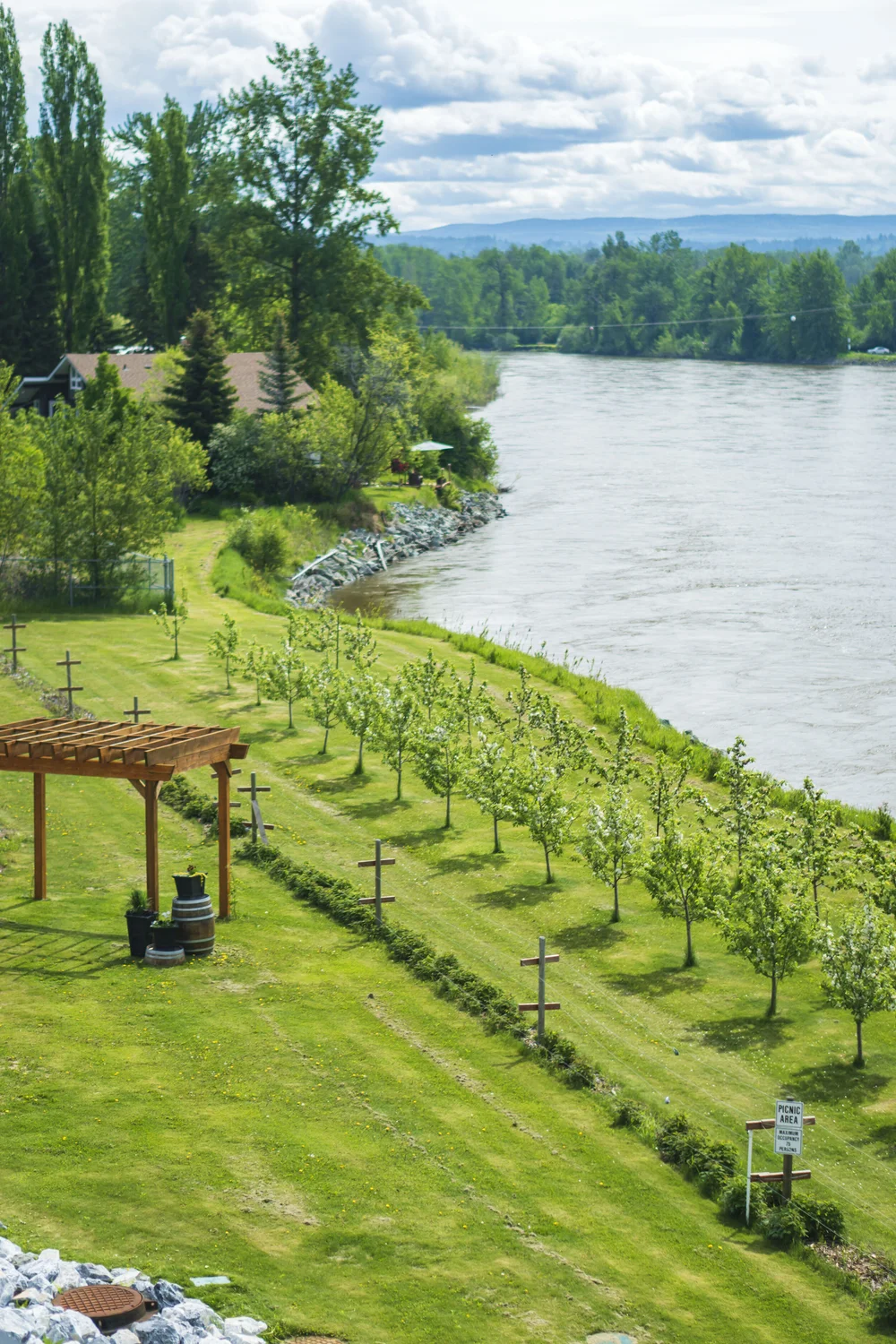 Our Story — Northern Lights Winery