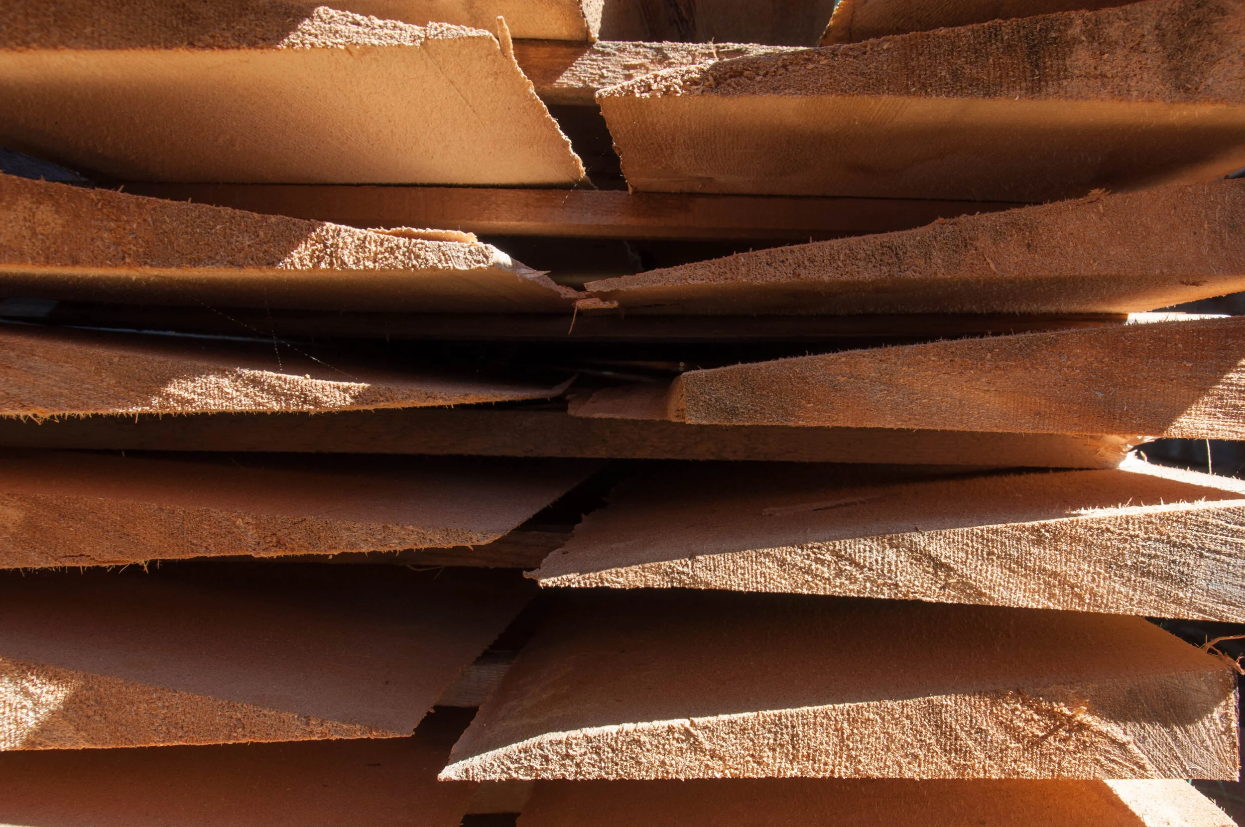 Contact Us — Mountain Voice Inc