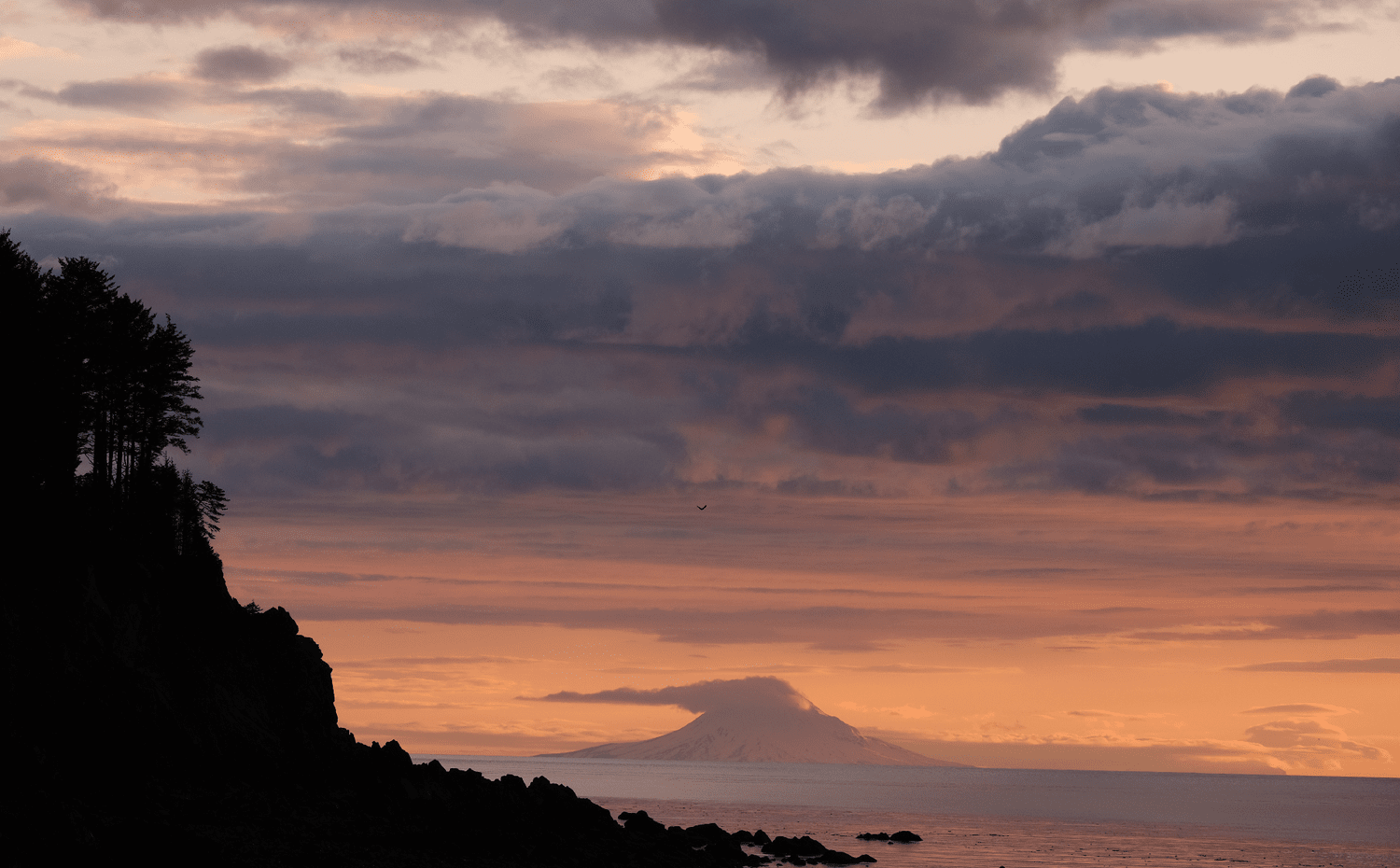 North Pacific Rim Housing Authority