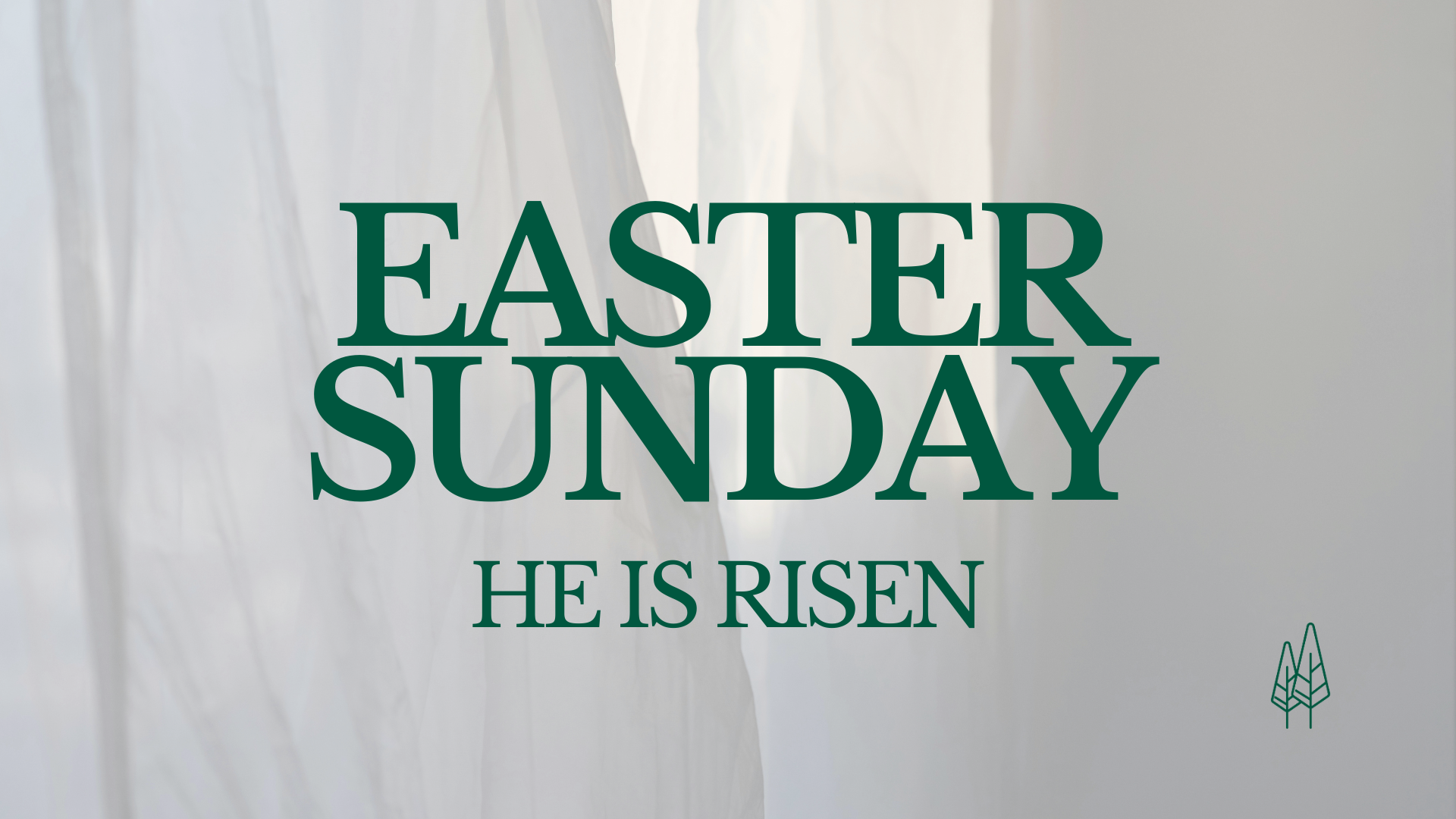 Sermons | Discover Faithful Messages — Join Us Today — Forest City Church