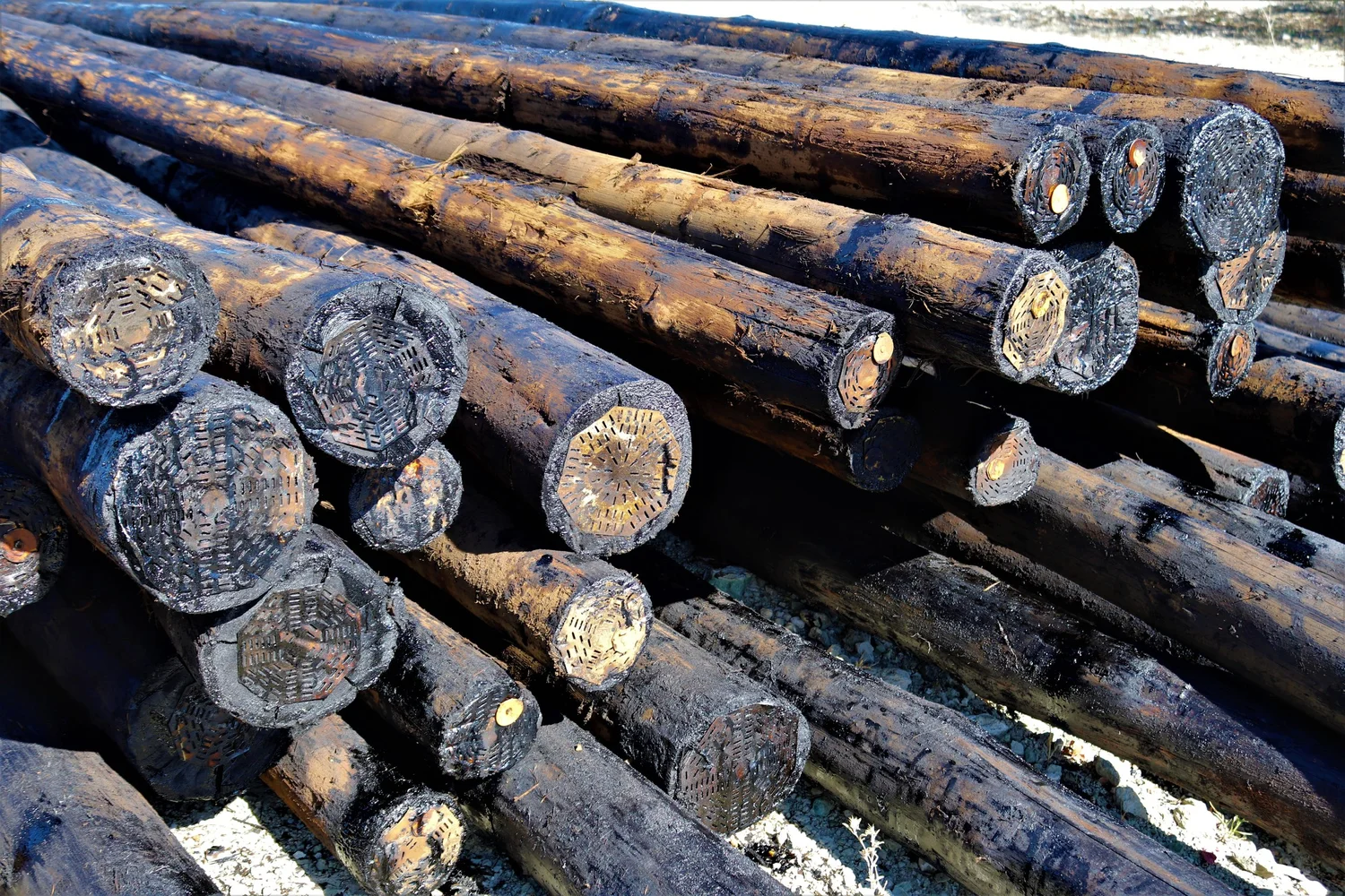 About Iron Creek Group
