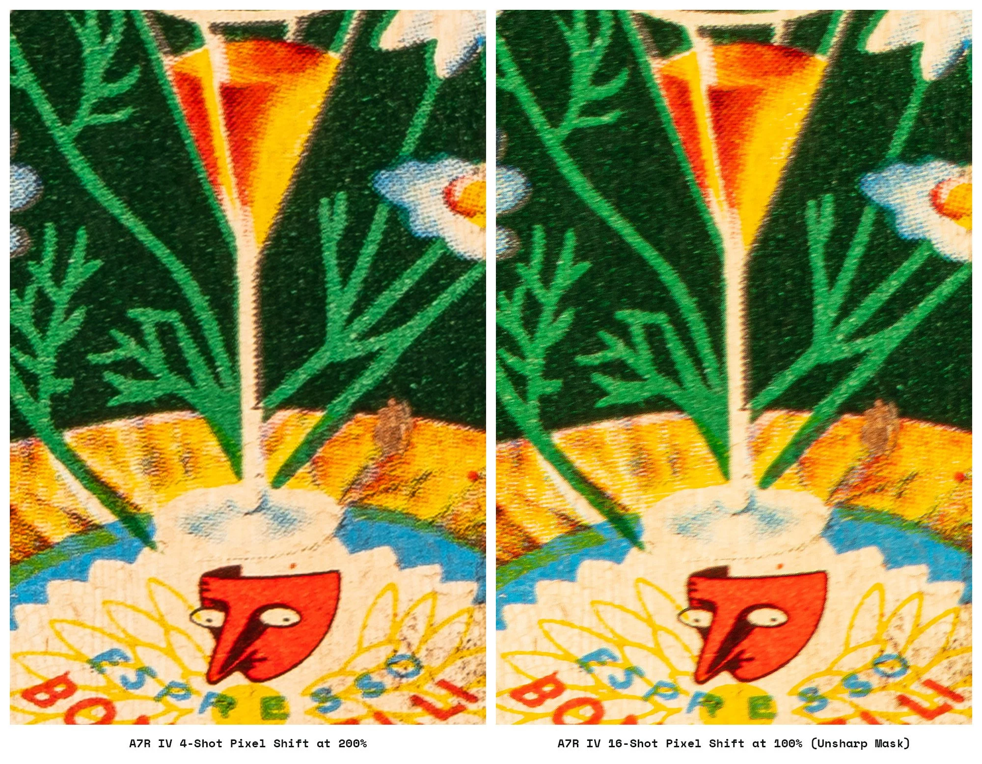 Fidelity comparisons: 24 MP, 61 MP, & 241 MP pixel shift mode. — Zeke ...