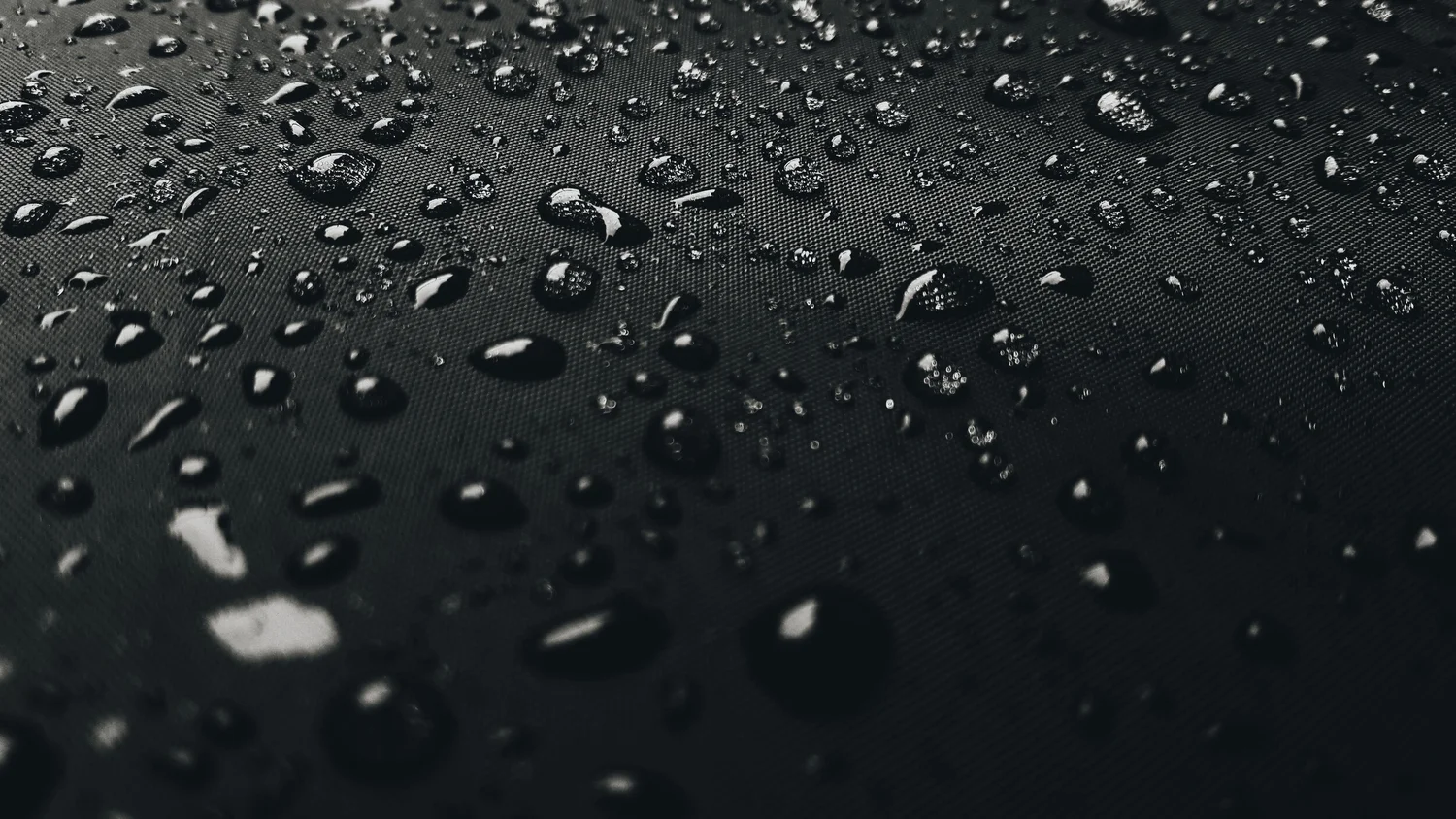 FCPP — Kingsway Auto Detailing