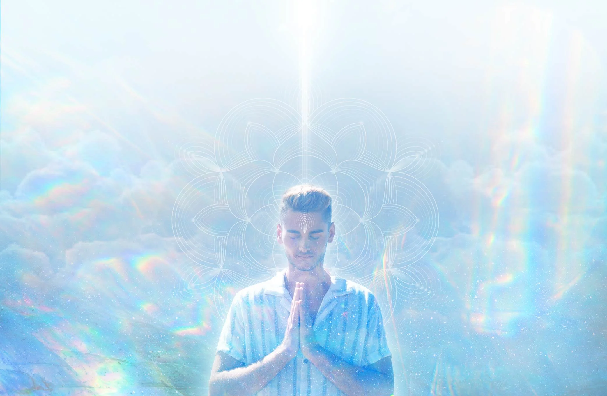 Sean Collyns | The 5D Medium