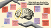 Executive Function — The Learning Collective