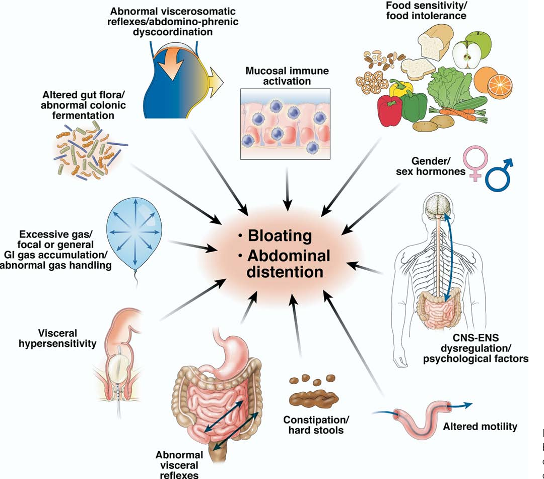 Abdominal & Stomach Bloating: Natural Treatments - Homeopathy ...