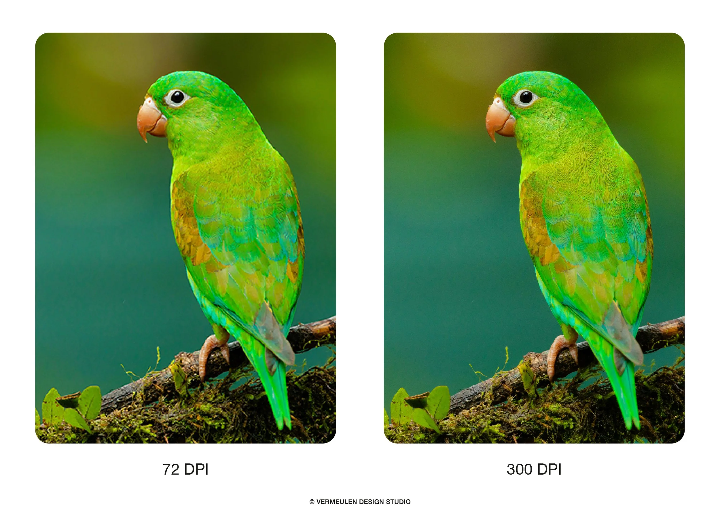 Navigating Print Design Essentials: From Resolution to File Formats ...