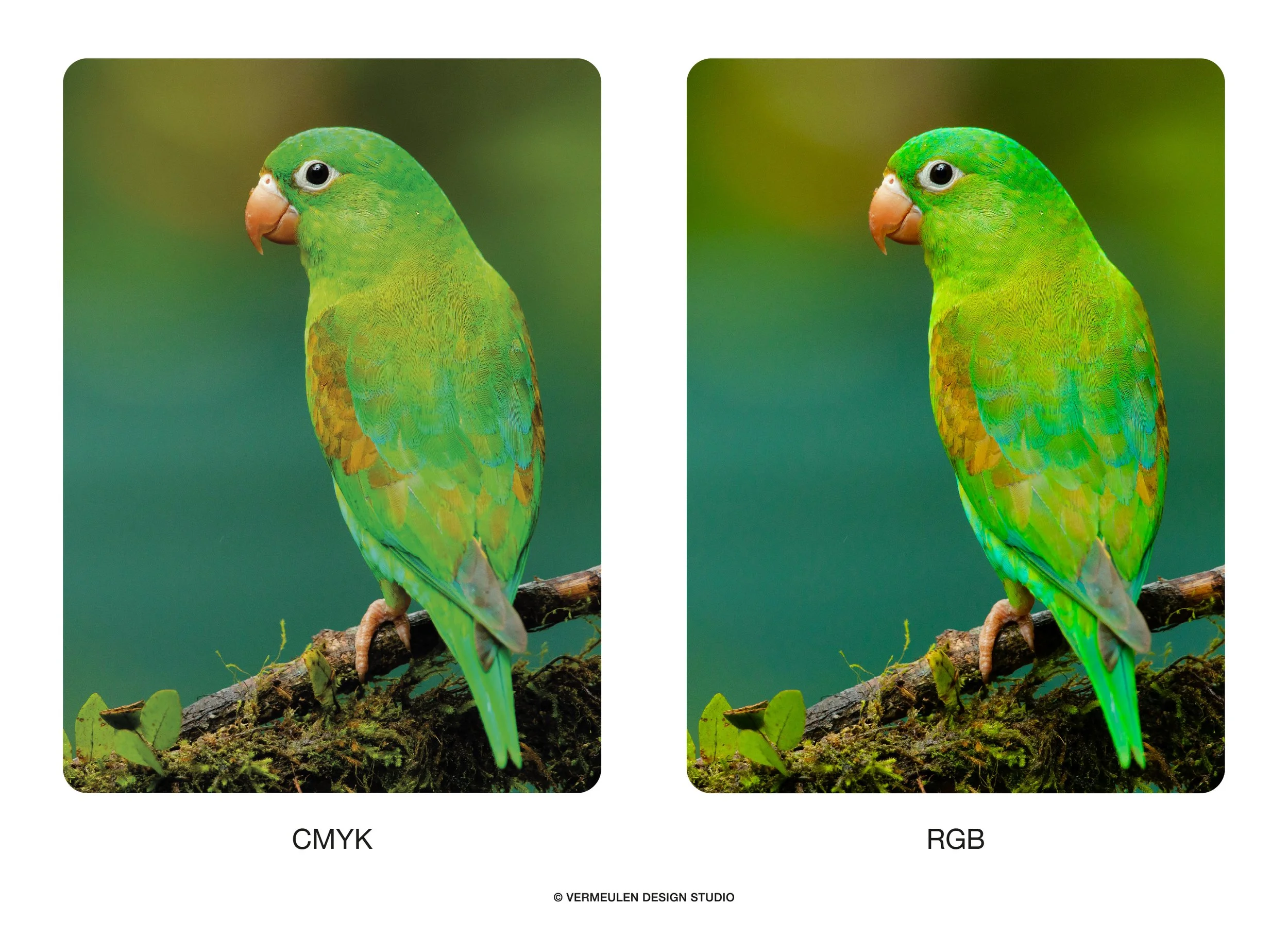 Navigating Print Design Essentials: From Resolution to File Formats ...