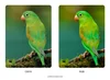 Navigating Print Design Essentials: From Resolution to File Formats ...