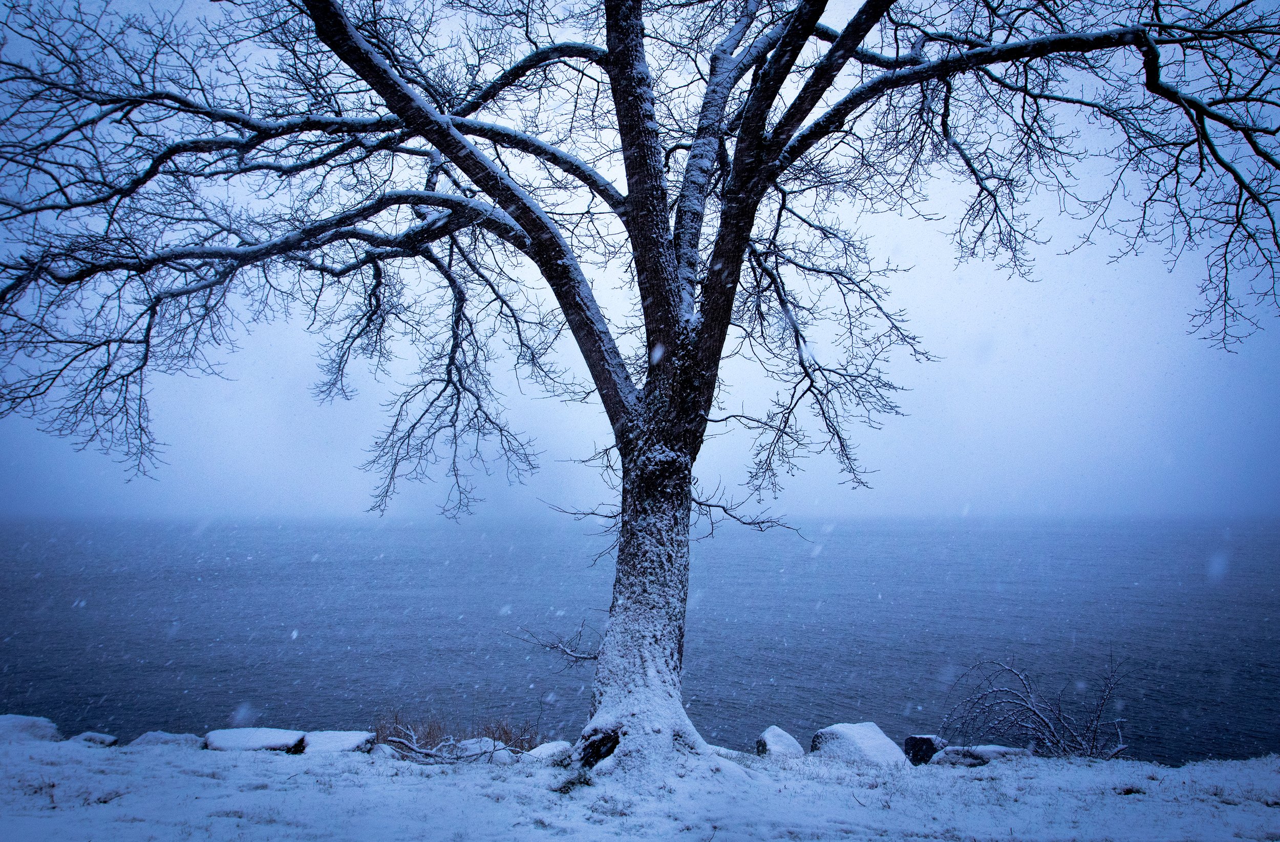NATURE IN SWEDEN — JOHAN CARLBERG
