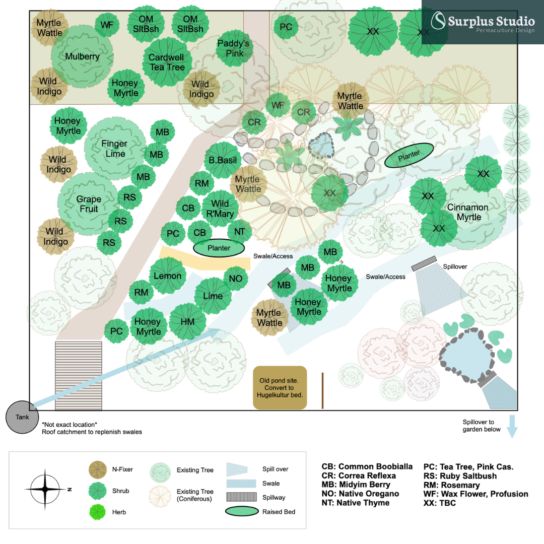 Permaculture Project (Avalon) — Surplus Studio – Permaculture Design