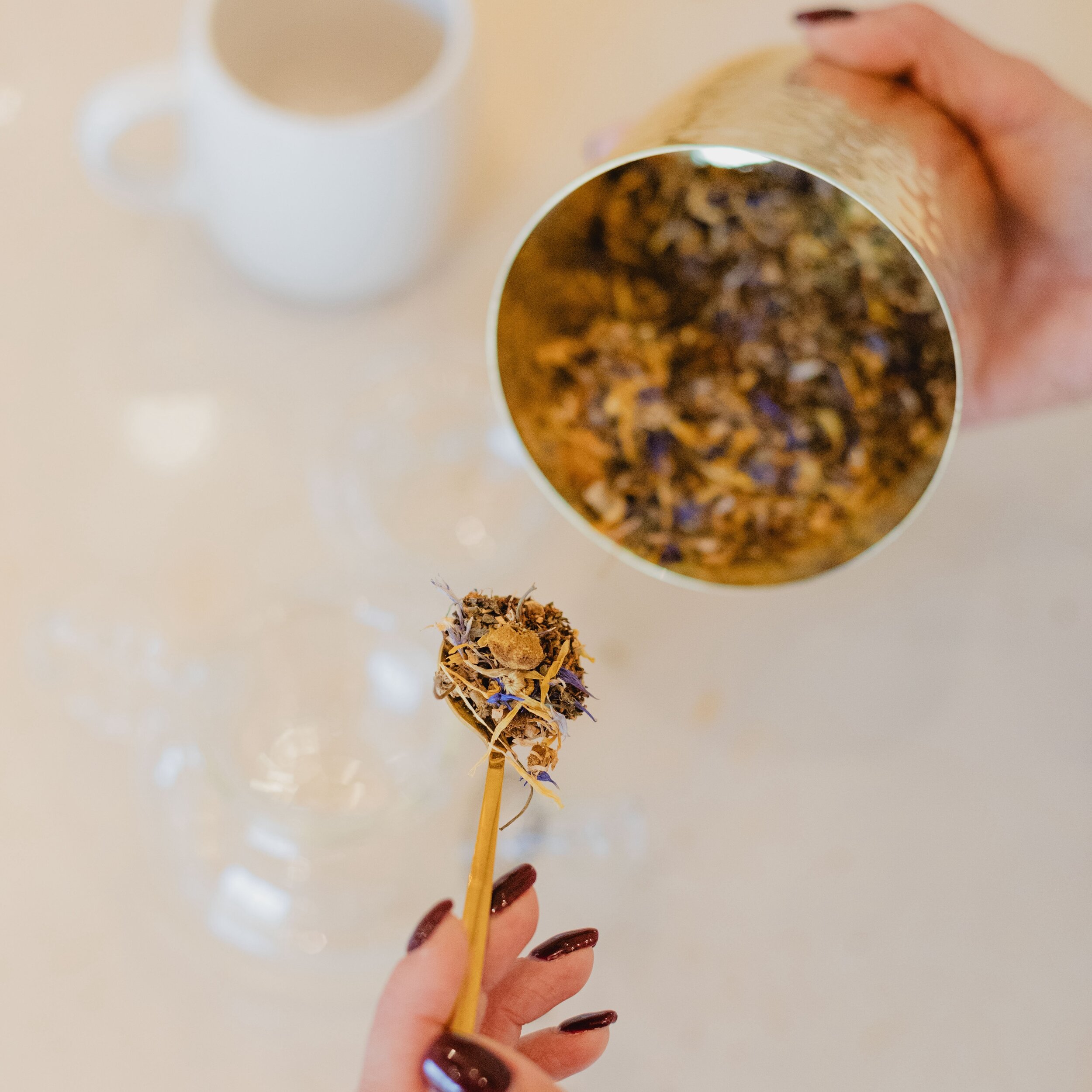 Botanical Elixir - Sustainable Vegan Organic Skincare