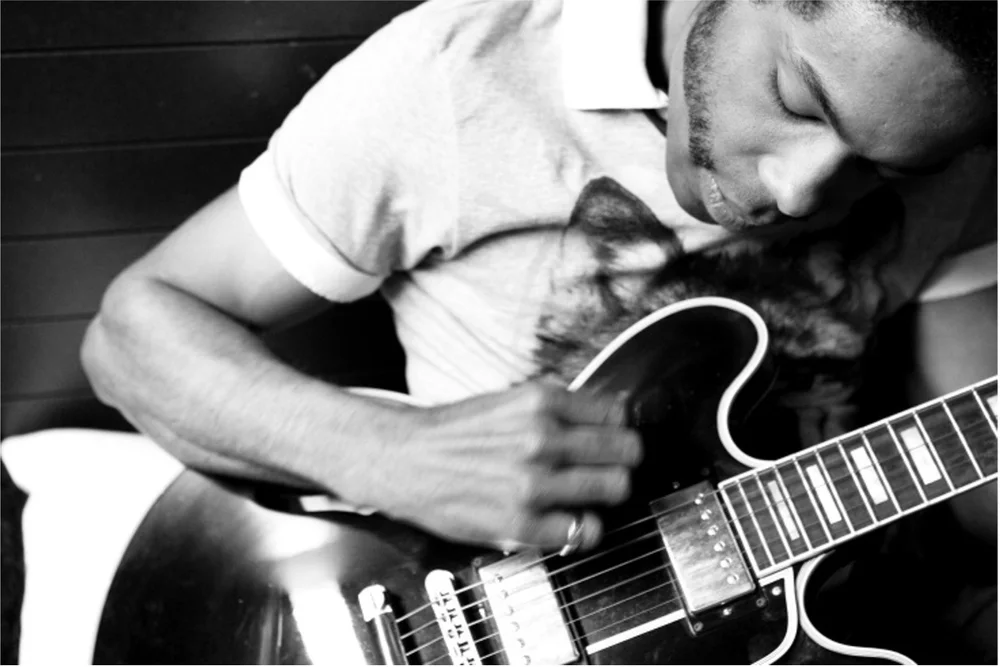 Pawling Concert Series | Experience Live Music - Buy Tickets Today