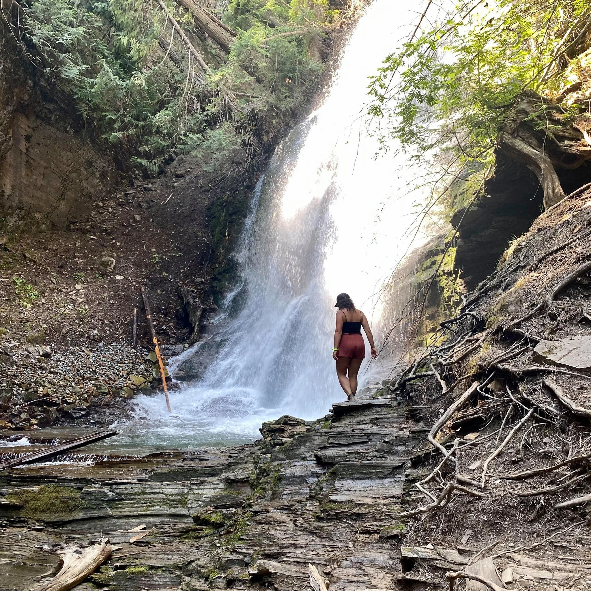 About the Interior Designer - Vancouver Island