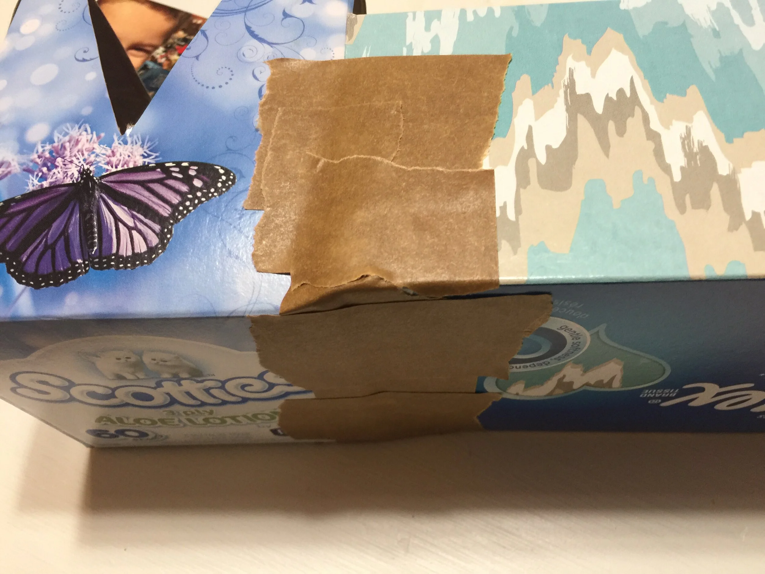 How to Make a Dinosaur Valentine Box — Mom of WAR., Hear My Roar