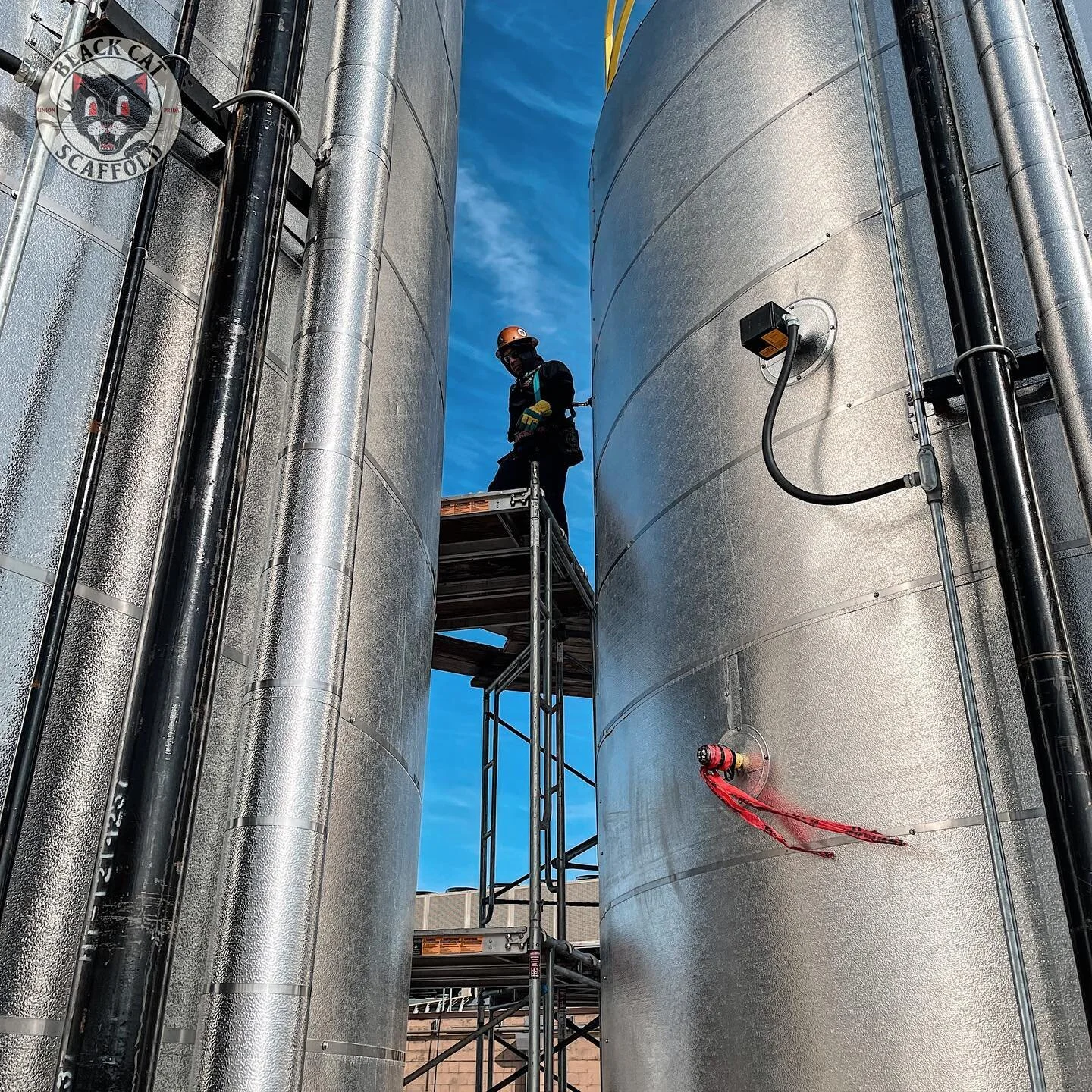 Black Cat Scaffold (MBE) - BLACK CAT SCAFFOLD (MBE): Chicago Union ...