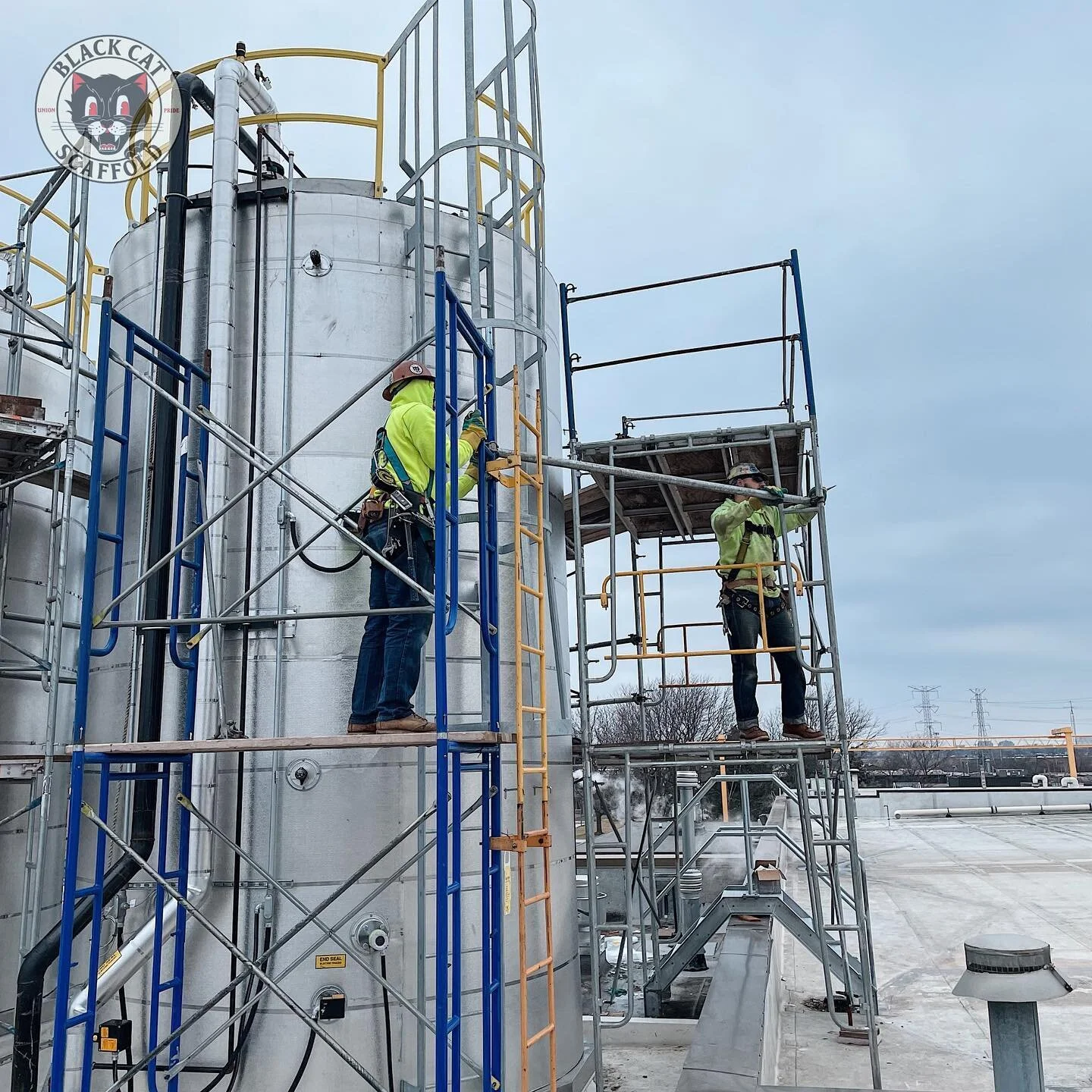 Black Cat Scaffold (MBE) - BLACK CAT SCAFFOLD (MBE): Chicago Union ...