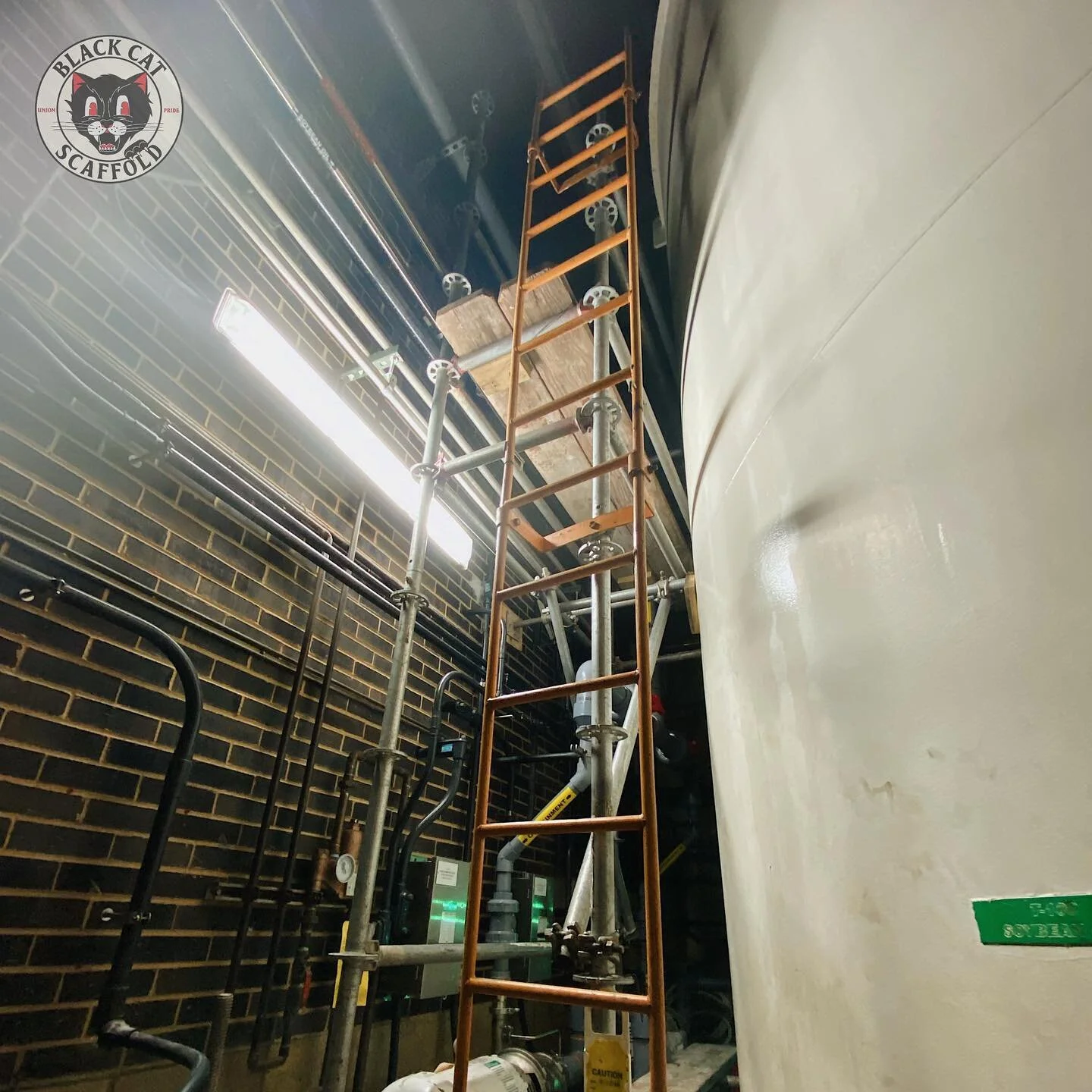 Black Cat Scaffold (MBE) - BLACK CAT SCAFFOLD (MBE): Chicago Union ...