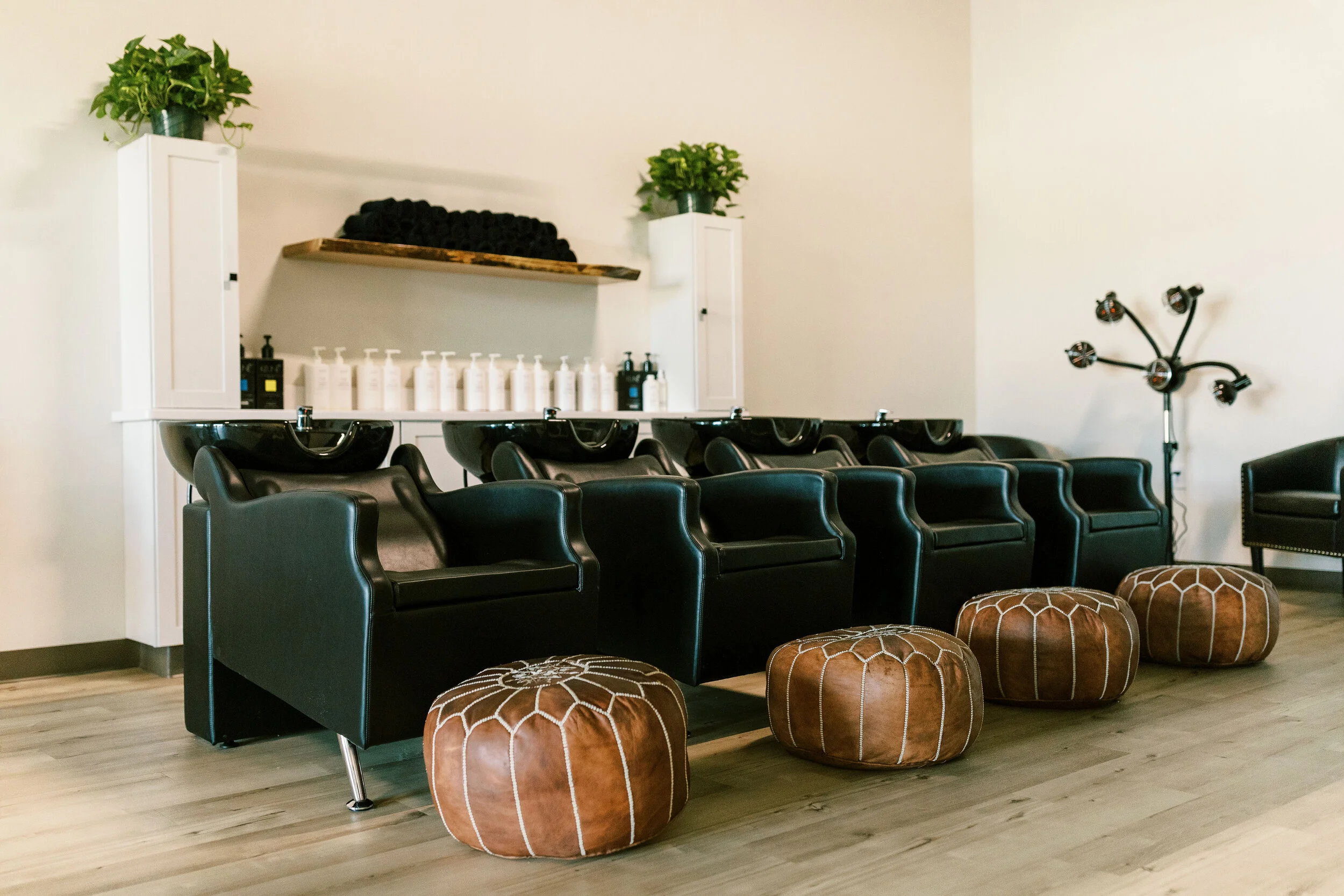 Welcome [www.wildcosalon.com]