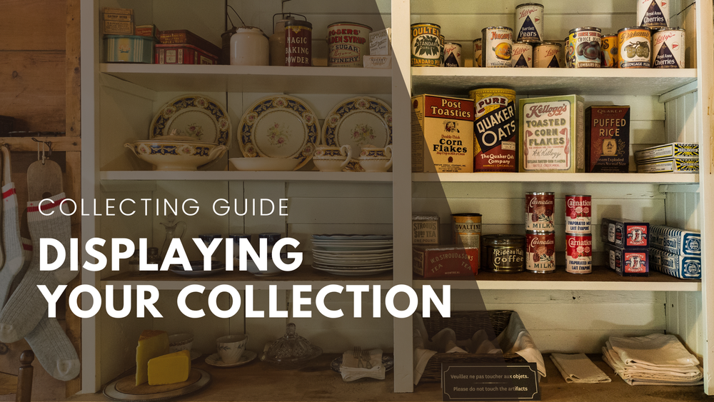 Bringing Collections to Life: Inspiring Ideas for Displaying Your ...