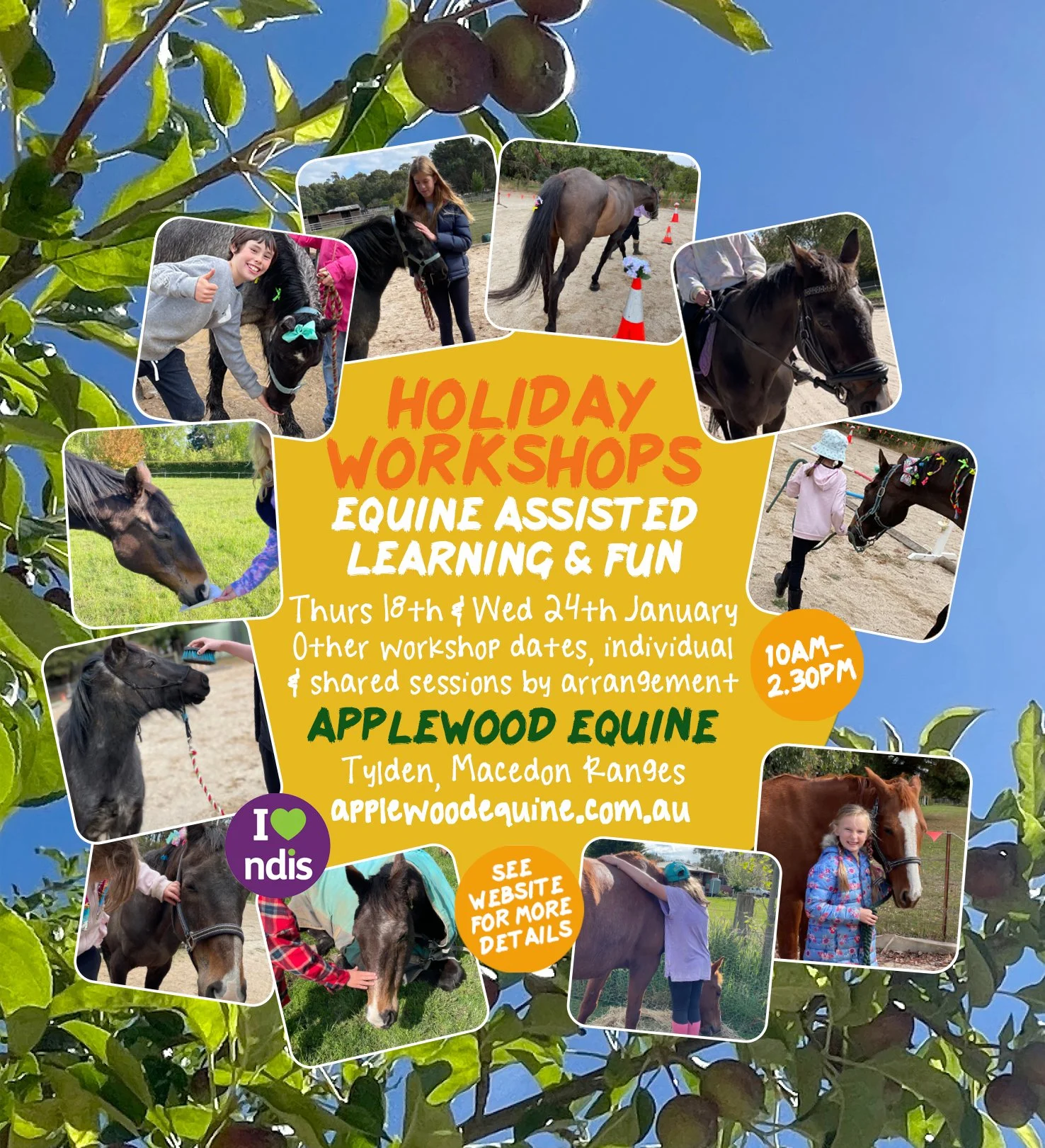 Sessions & Workshops — Applewood Equine Assisted Learning