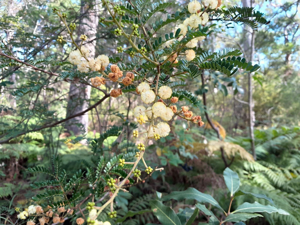 Habitat Solutions supports LFA as a Principal Donor — The Landscape ...