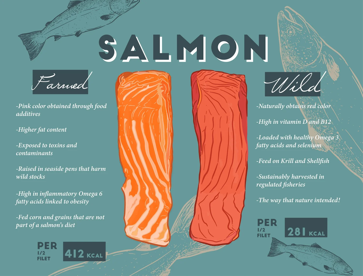 Wild Vs Farmed Salmon Wild Source Salmon
