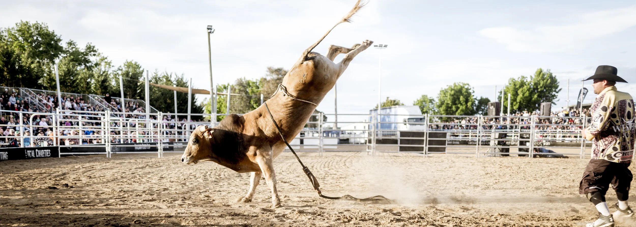 Gavin Little - Sydney Northern Beaches Photographer