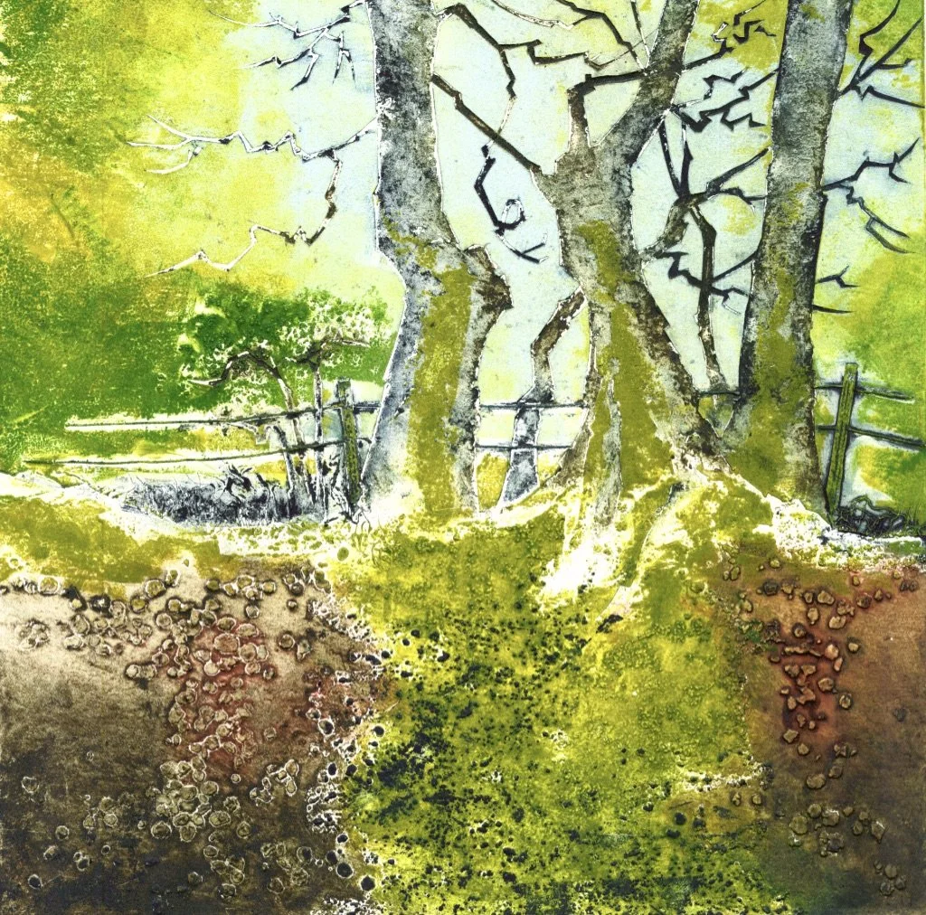 Landscape Gallery — Sian Appleyard