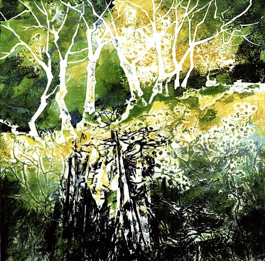 Landscape Gallery — Sian Appleyard